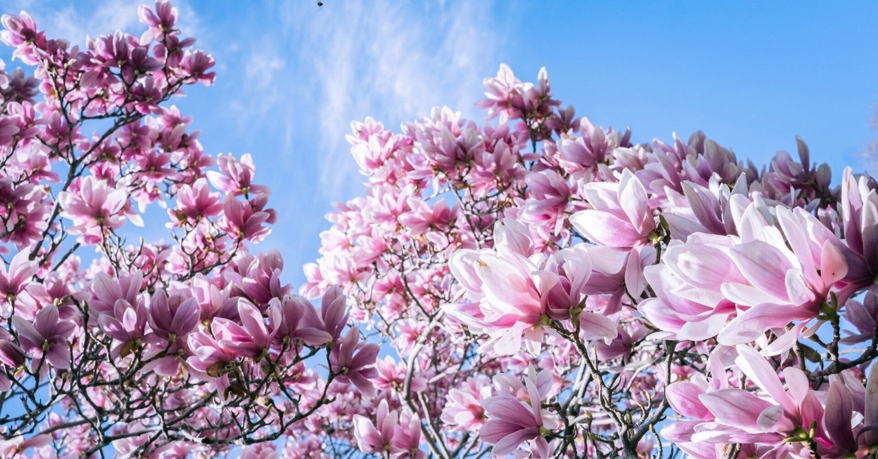 あと少しの育休と、職場復帰へ｜yuki ota｜note