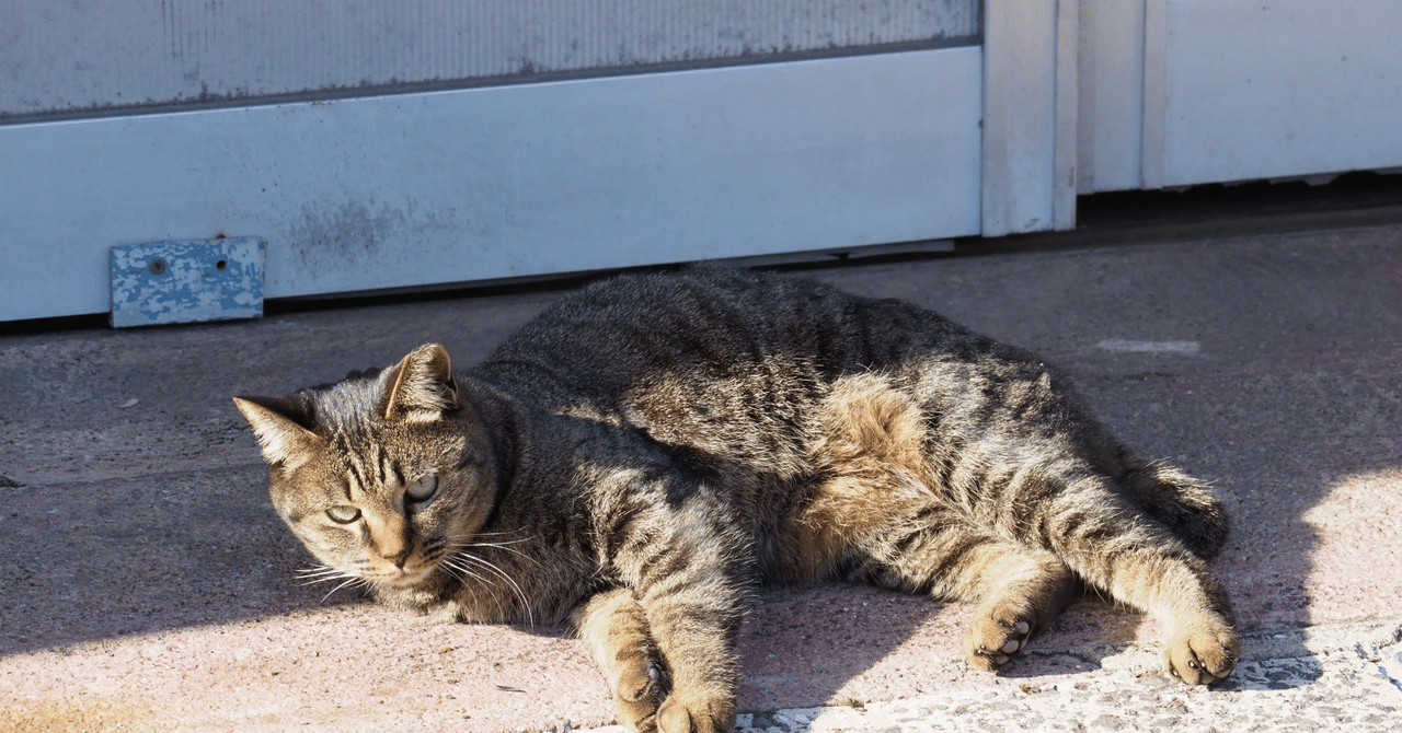 ubuntu install #12 anaconda3 install｜blue06_2022｜note