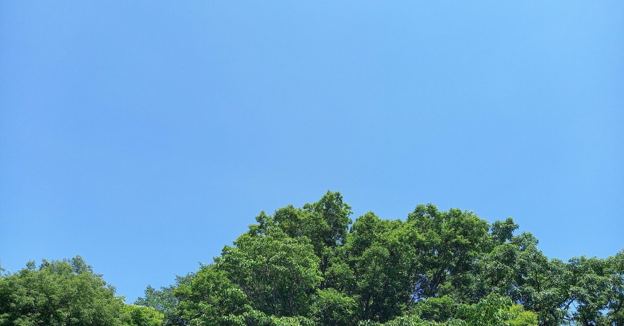 何もせずにいるのはもったいない好運気の今週！【おうし座♉オンリー占い】3月28日火｜【おうし座♉オンリー占い】｜note