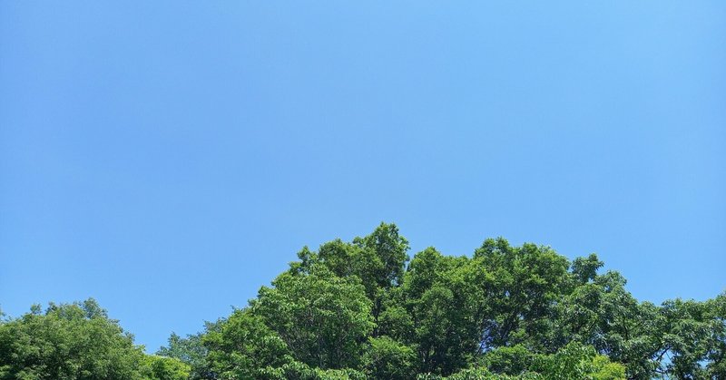 何もせずにいるのはもったいない好運気の今週!【おうし座♉オンリー占い】3月28日火|【おうし座♉オンリー占い】|note