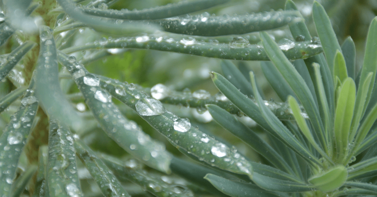 はじめに｜NITCHO - にっちょ｜note