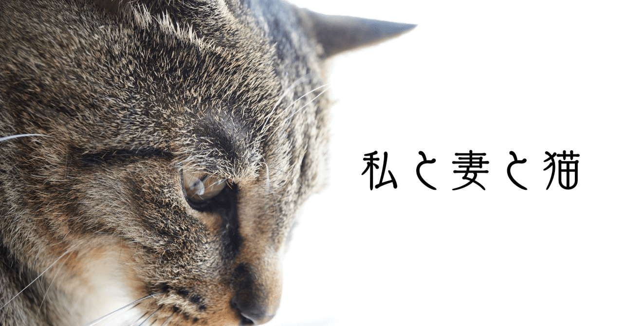 これが初投稿。東京に出てきた流れ、私と妻と両親の気持ち。東京に出てからの事をお話します。#02｜私と妻と猫