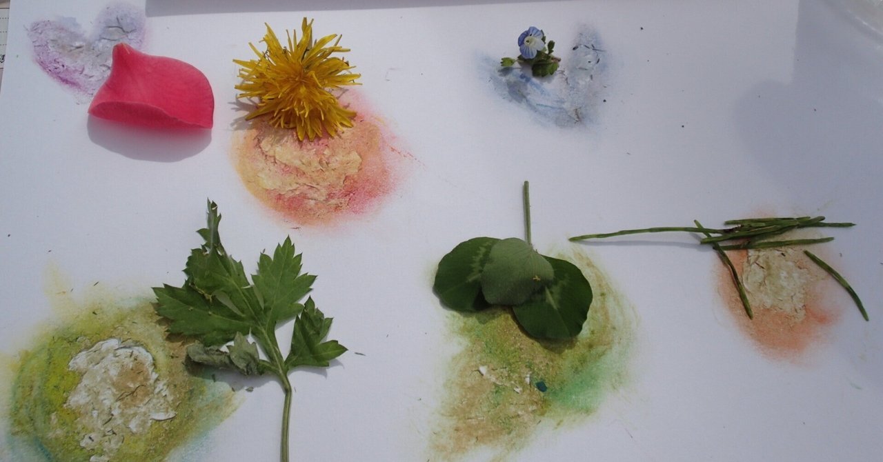 草花×クレパスで 感性のままにお絵かき💐｜mayu｜note