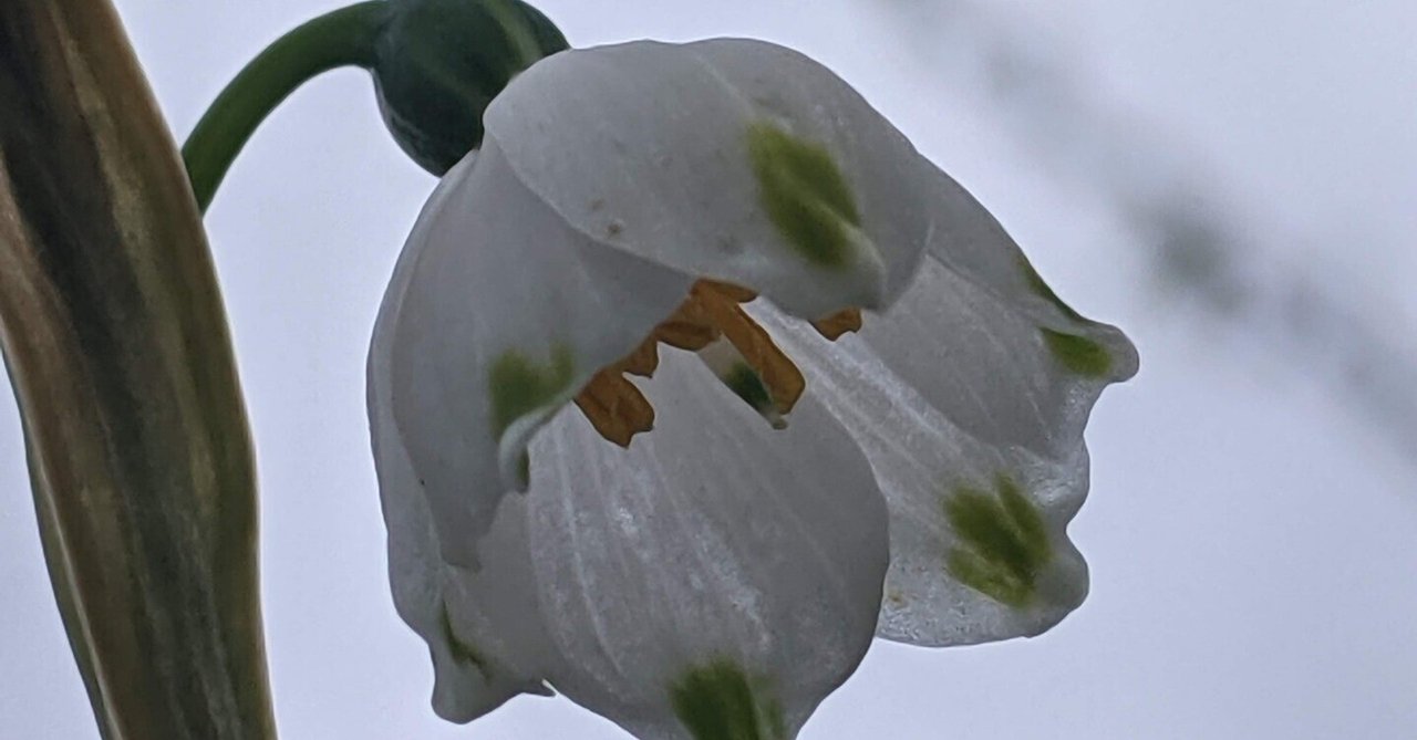 時間について｜riko