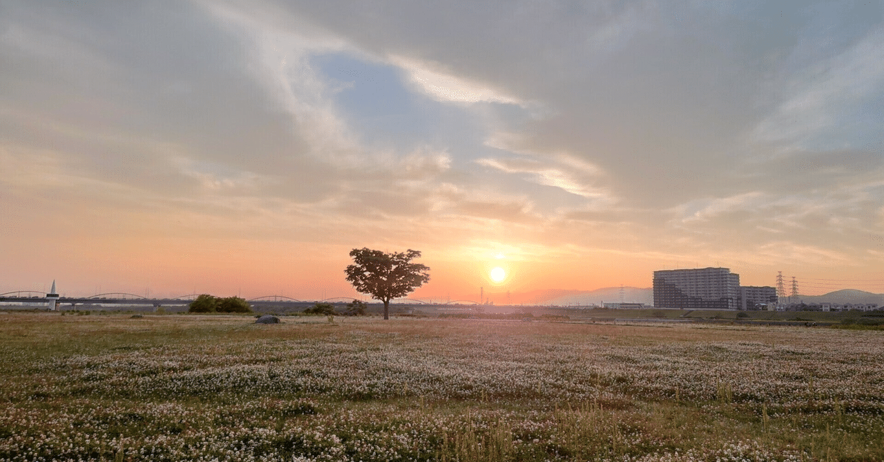 私に足りないもの｜mame｜note