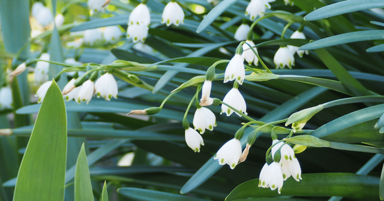 今年の俳句④(7つ)｜之哲／Yuki Satoru｜note