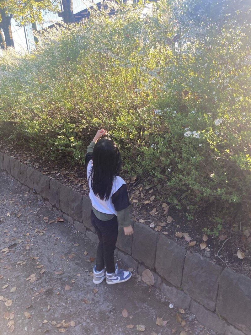 学生が進路を考える時に伝えたいこと vol.1〜私の進路決定エピソード〜｜相談base-azu@ライフ/キャリアコンサルタント