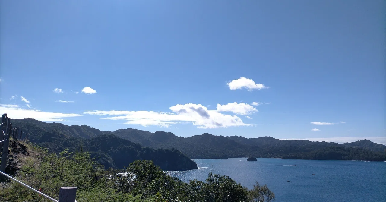 【世界自然遺産】小笠原旅の栞 予算と実際にかかった費用の紹介【父島・2航海・12泊13日】｜Pickee