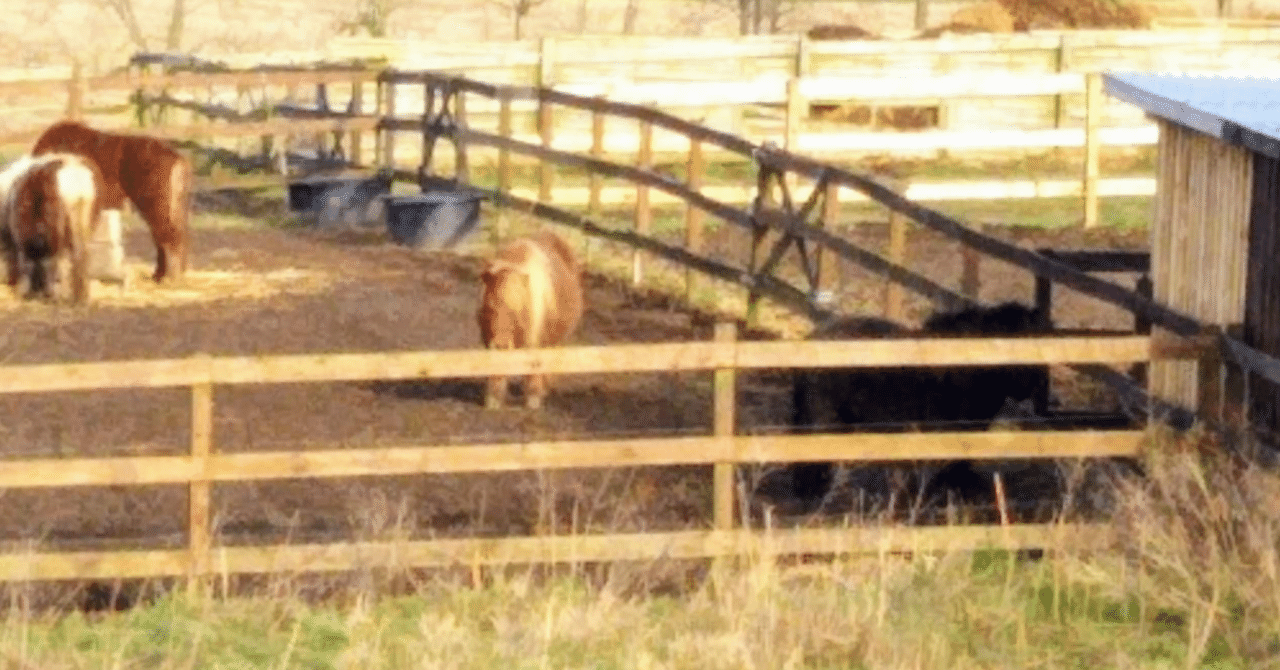 安心して話す｜Akio｜note