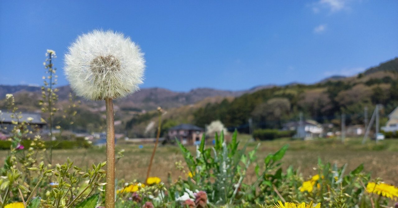 今日を最高の1日にすることに集中！【おうし座♉オンリー占い】3月29日水｜【おうし座♉オンリー占い】