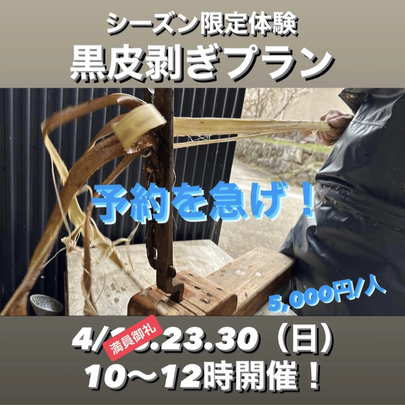 4月限定シーズンプラン開催！｜Tact Masuda