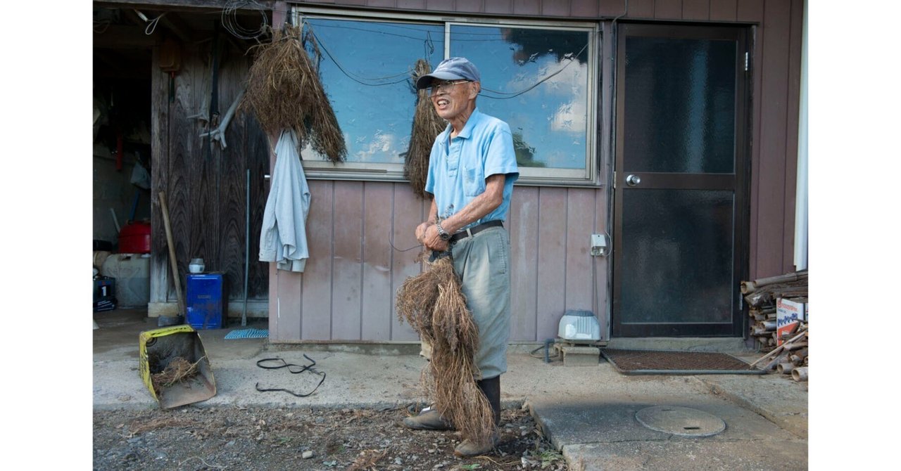 いくおさんとの夏｜Daisuke Shibata｜note