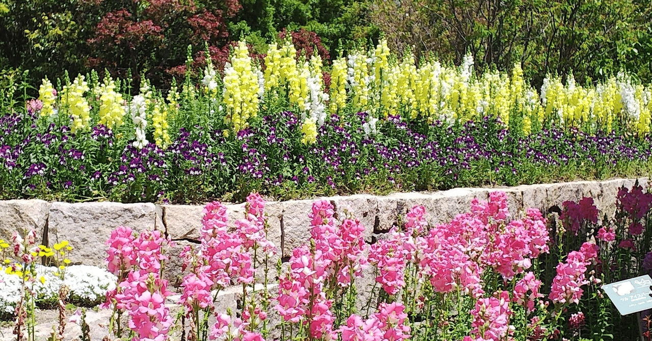 linux 技術動向 MX Linux｜blue06_2022｜note