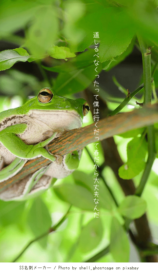 さあ、行こう。 https://youtu.be/pdbSLpBgQ2I みんなの俳句大会は季語なしOK🆗楽しんだものガチです。 絶賛開催中！ https://note.com/minhai ...