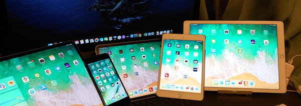 あおいのとり＜Aoinotori＞｜note