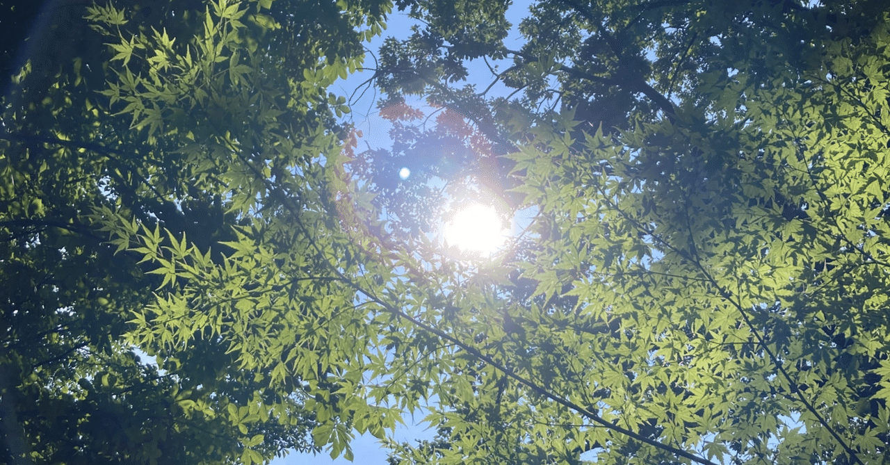 視点を変えれば世界が変わる。｜TYZ｜note