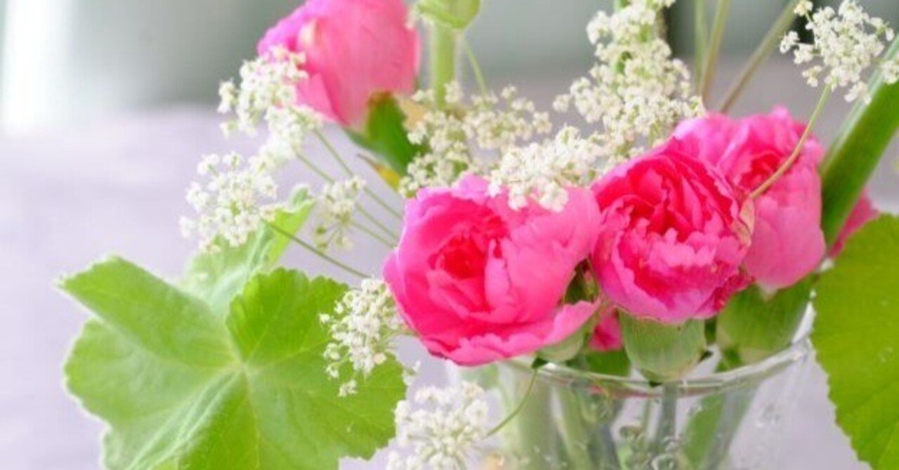 tabito☆note 【50代の心の健康④】｜tabito｜note