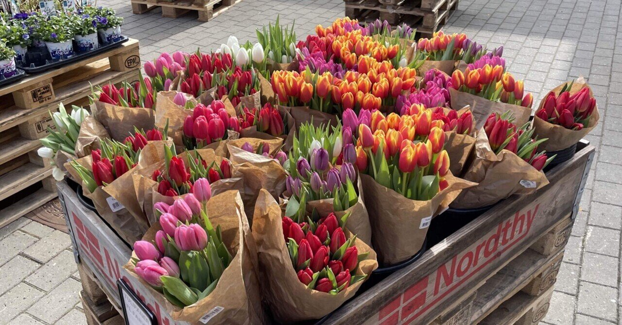 田辺 莞菜 / Kanna Tanabe｜note