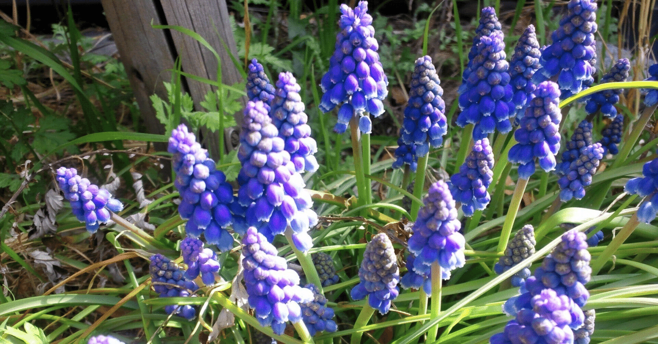 はじめて作曲をした【インスタコード】｜neji bit｜note