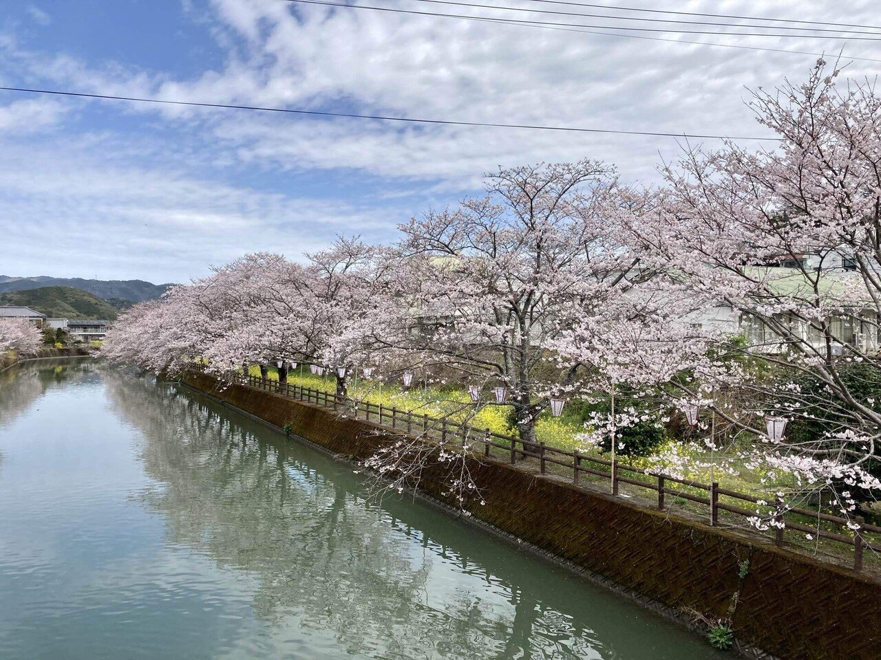 今日の短歌・20230330 分かってる 信頼してる 愛してる だから聞かない 君の本心 （2019/05/19）｜猫足三粒@高知