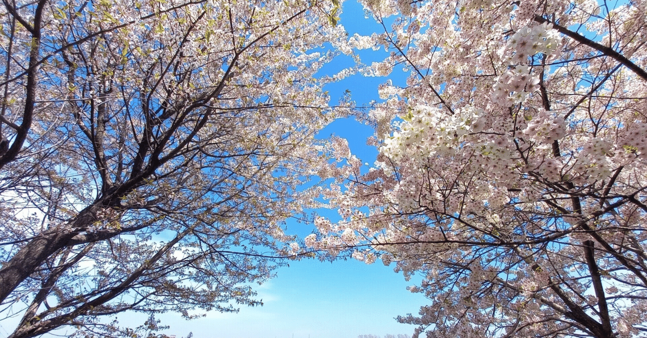 0歳からのプレゼント｜Carry｜note