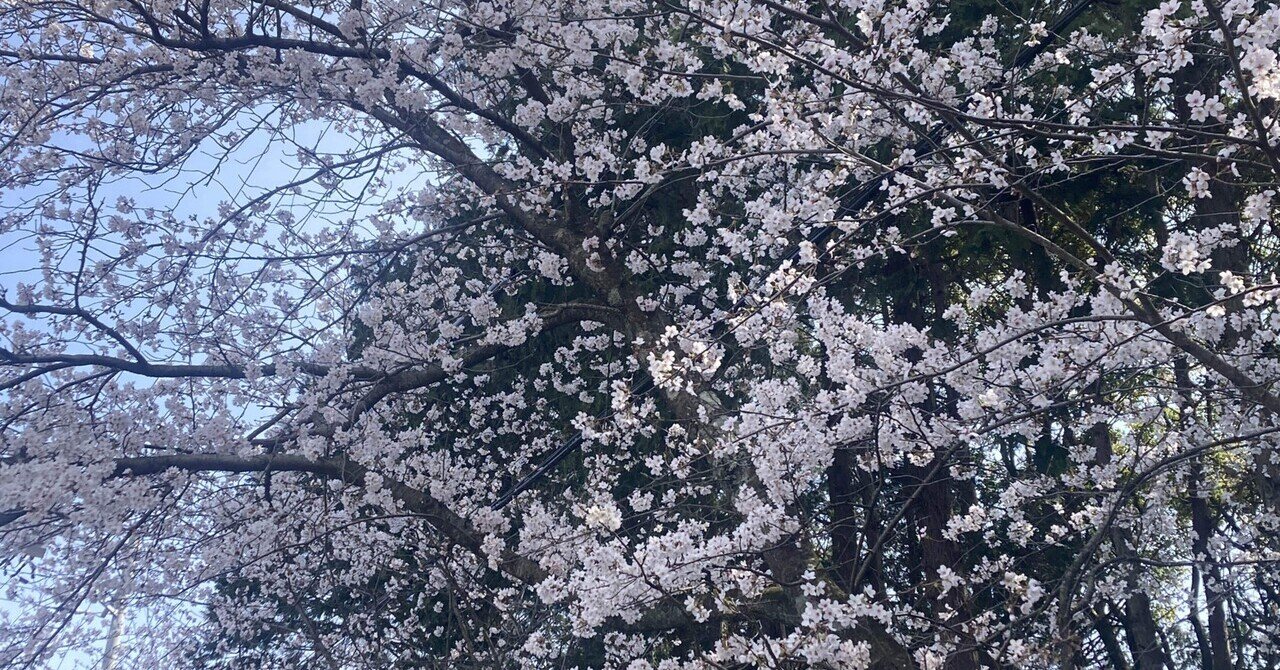 幸せとはなんだろう｜nanala｜note