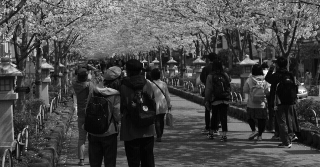 さくら｜shirasu camera｜note