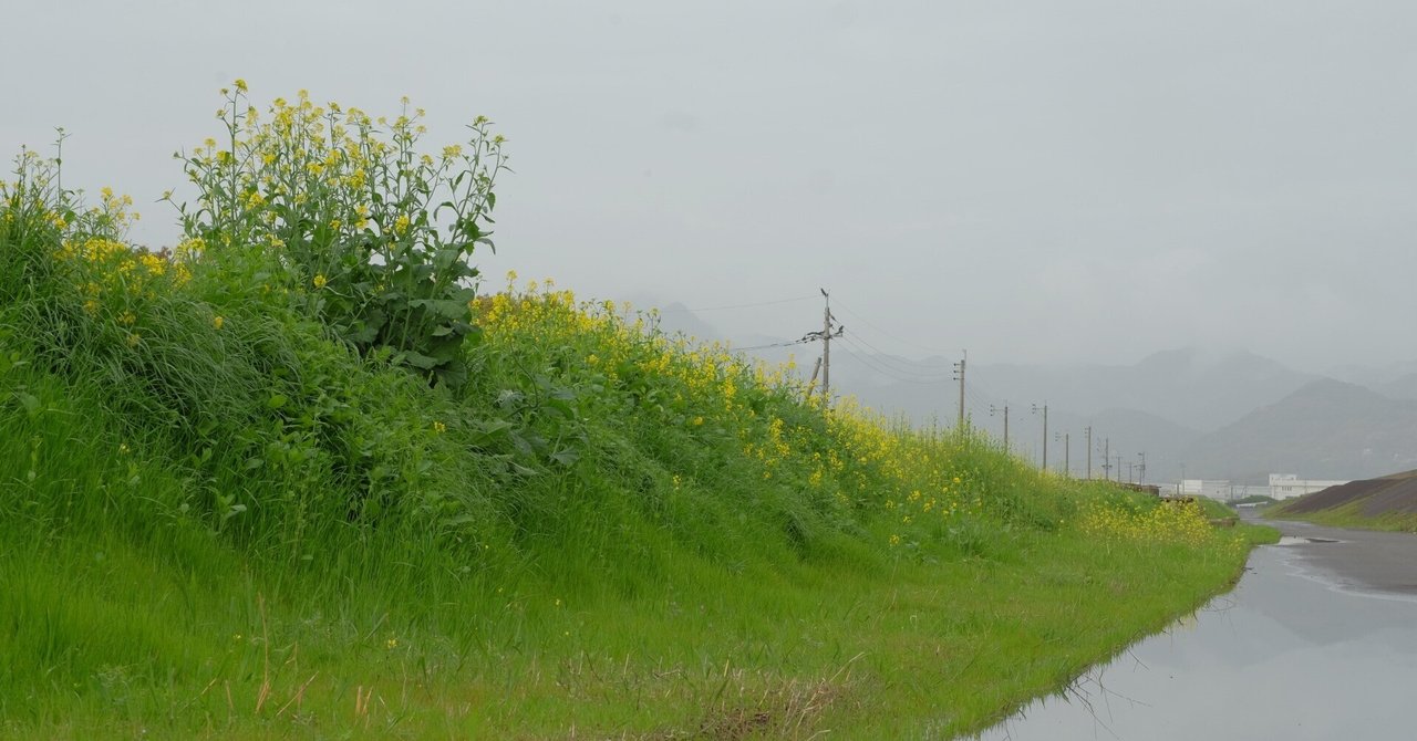 Noteはじめます｜KYO｜note