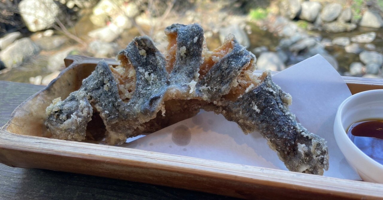 日帰りさかな釣り｜momonga