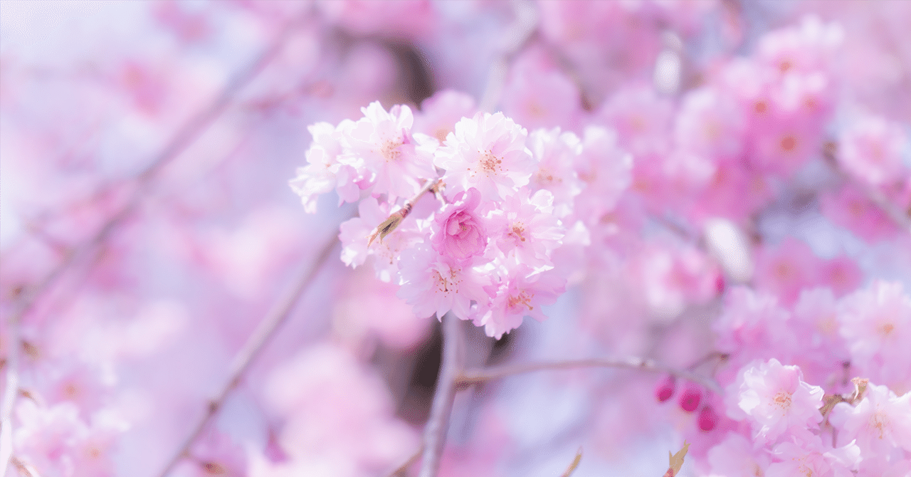 1年目の振り返り｜teaspooon｜Web・EC・HP・SNS等10年以上の経験者がサポート｜note