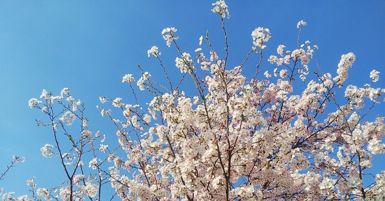 最終回・ひとこと日記 2023年3月後半｜Ashworks｜note