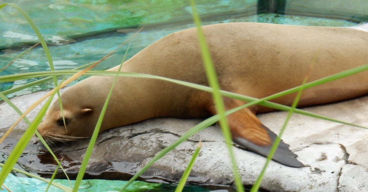 20230330｜斜｜note