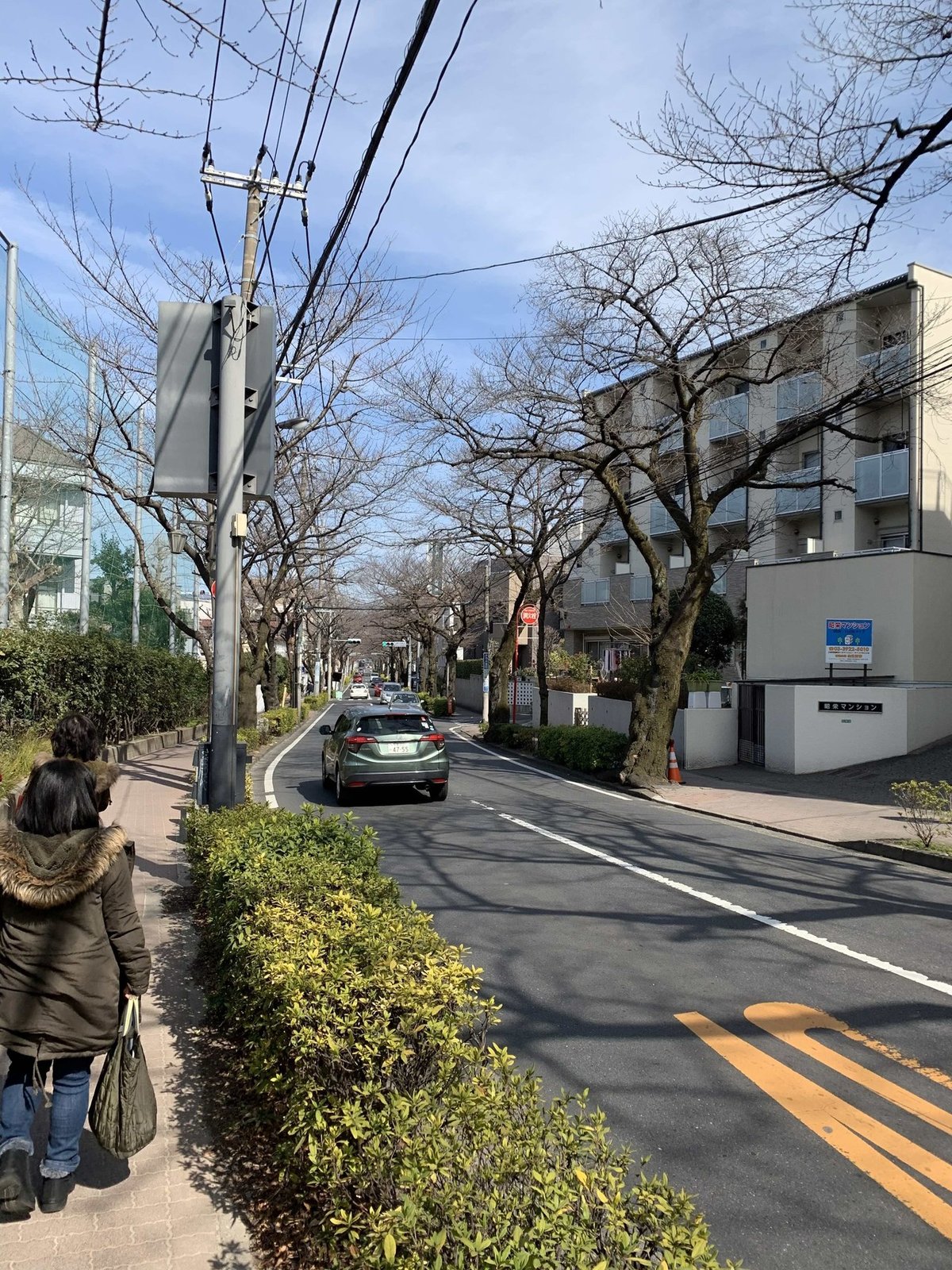 練馬に都内第一号のワイナリーがあるってご存知ですか？｜Code for Nerima