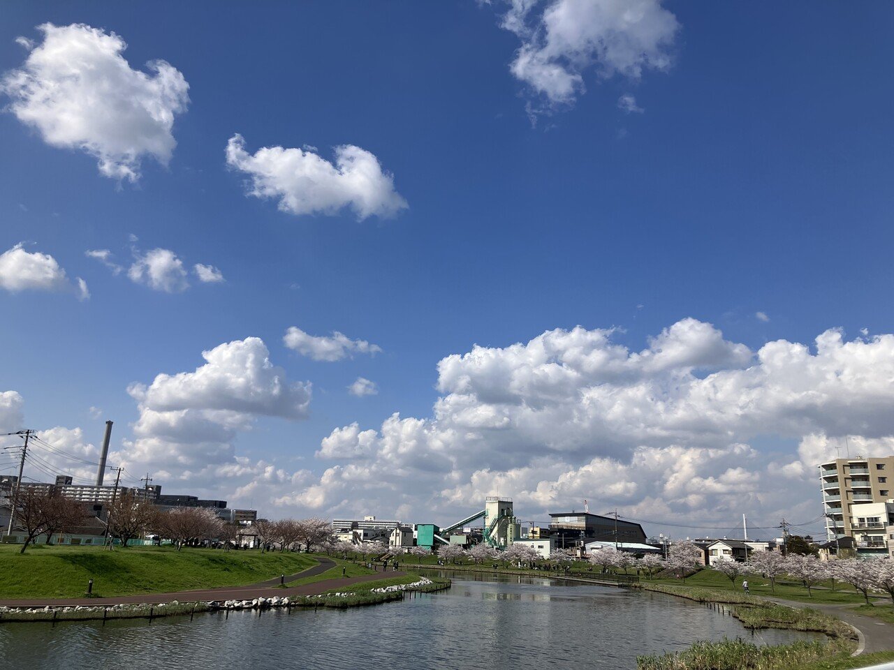 良い天気に釣られて、昨日はちょっと遠回りして帰った やっぱり青空が気持ち良い｜ichi LABO