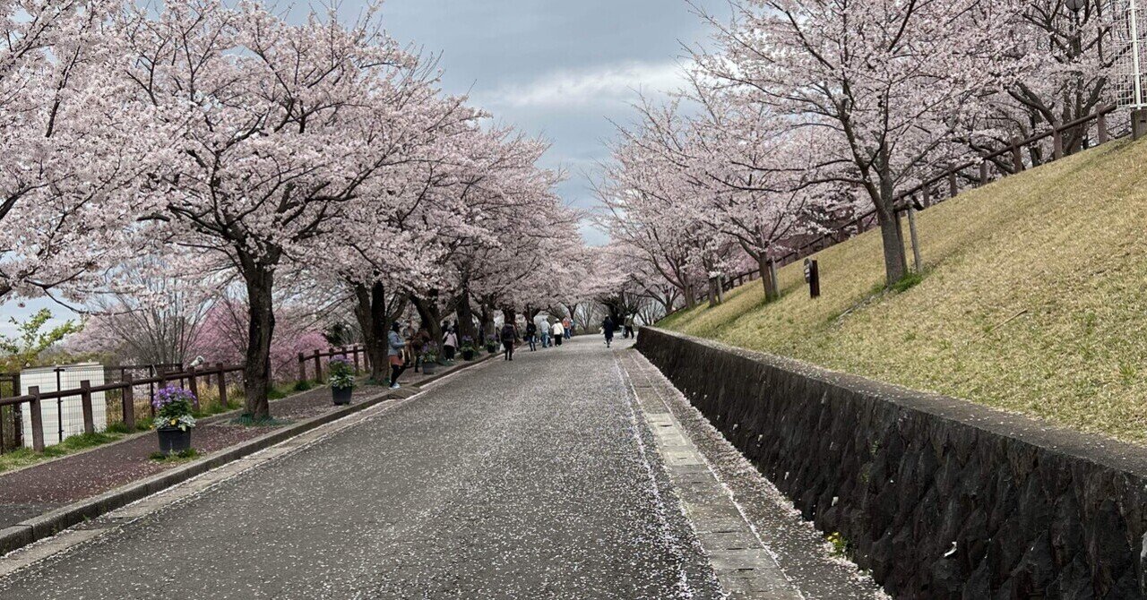 2022年度末｜y hidetoshi｜note