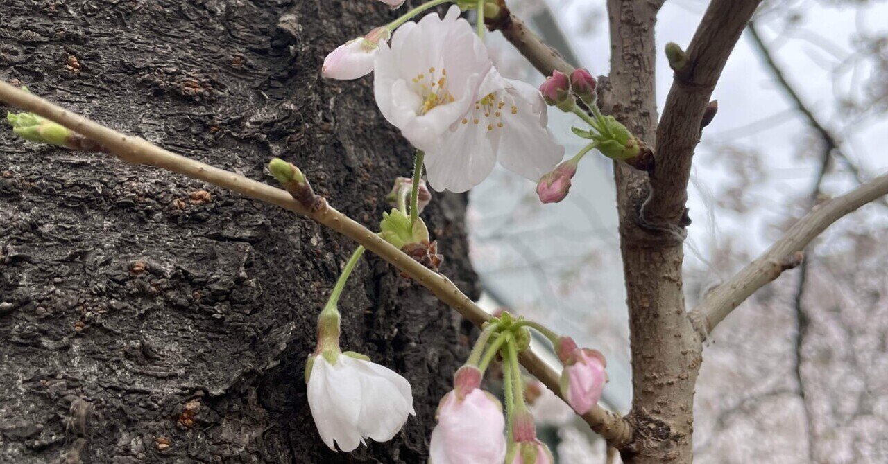 Live and let live｜nagisa_y_｜note