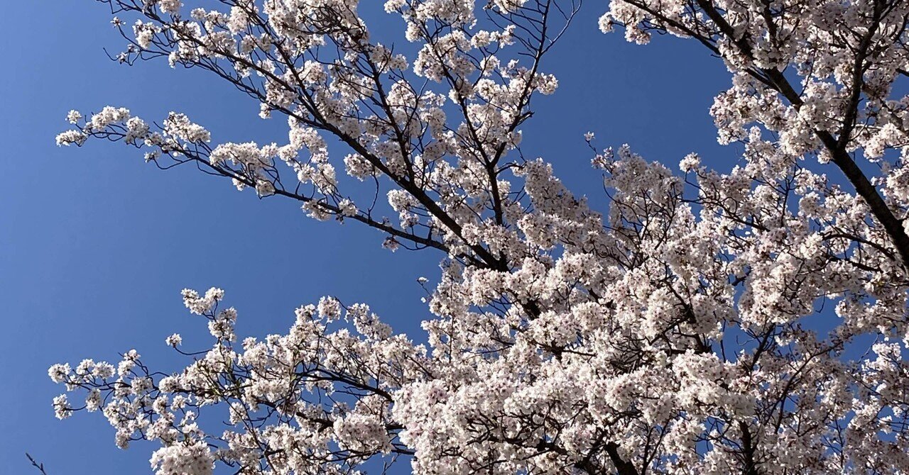 生活の変化｜723nk｜note