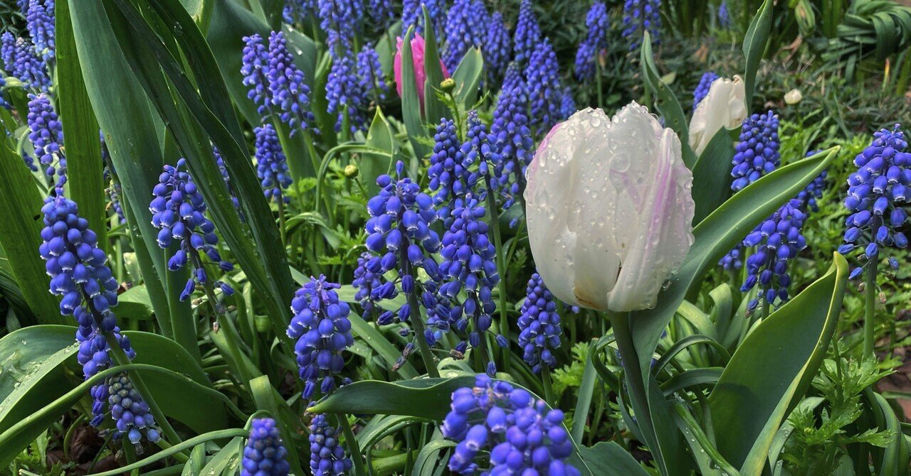 夜露の分だけ。｜ayumu aizawa｜note