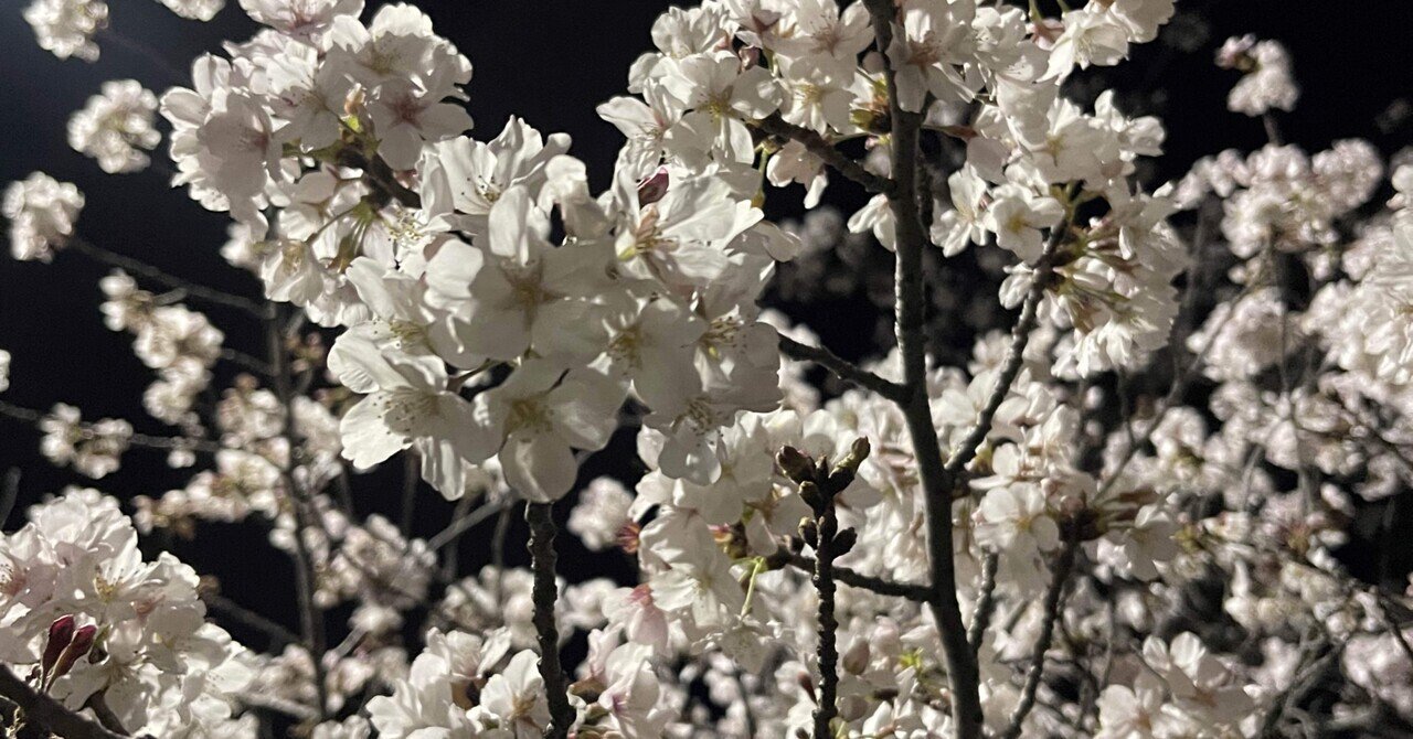 社会人3年目終了｜wakaba ｜note