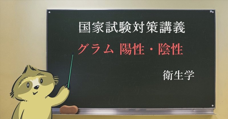 【衛生学】図解イラストとゴロあわせで簡単に覚える「グラム陽性・陰性」|森元塾国家試験対策
