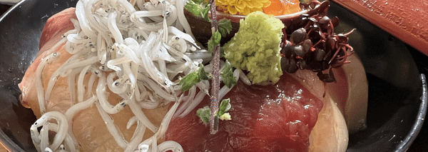 あおいのとり＜Aoinotori＞｜note