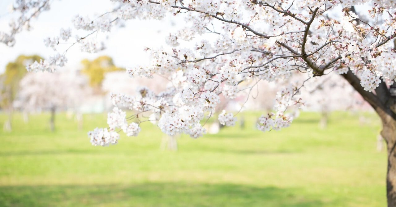 田端信太郎/Shintaro Tabata｜note