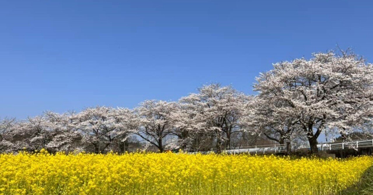 今日の1枚（2023/3/31）｜Chikako｜note