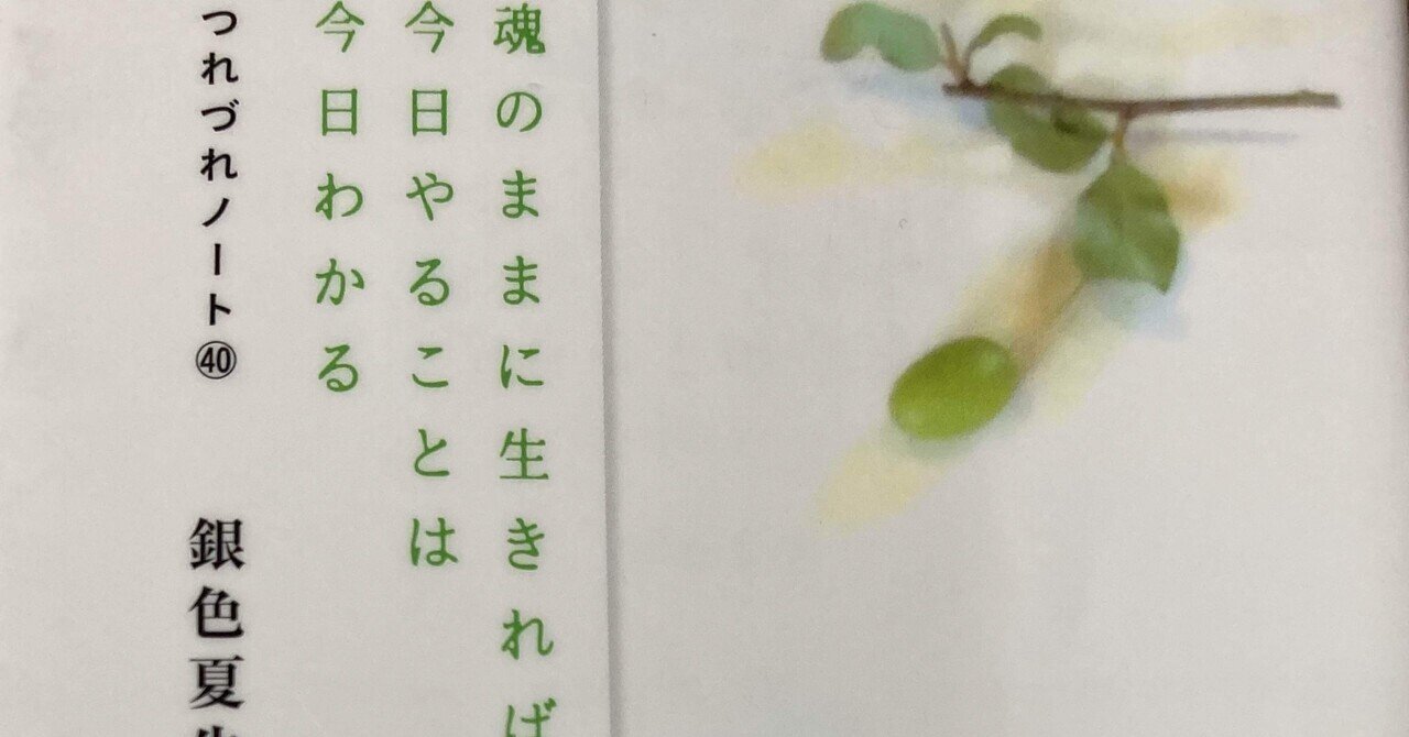 魂のままに生きれば、今日やることは今日わかる/銀色夏生｜stri_reiko｜note