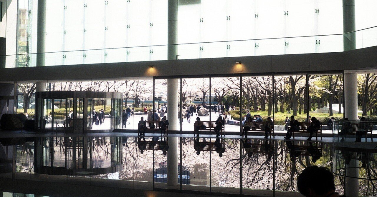 23年3月 桜｜robert_oku