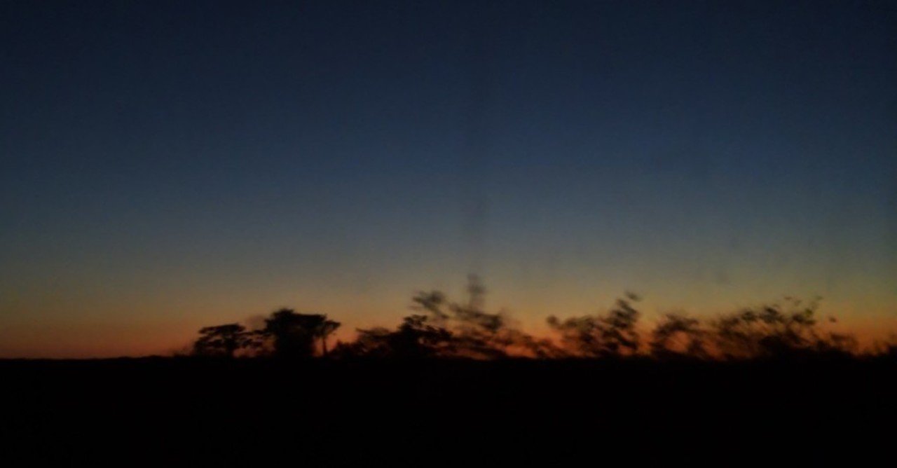 ムラサキを眺める｜Asuka｜note