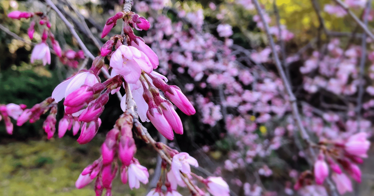 ubuntu rust install｜blue06_2022