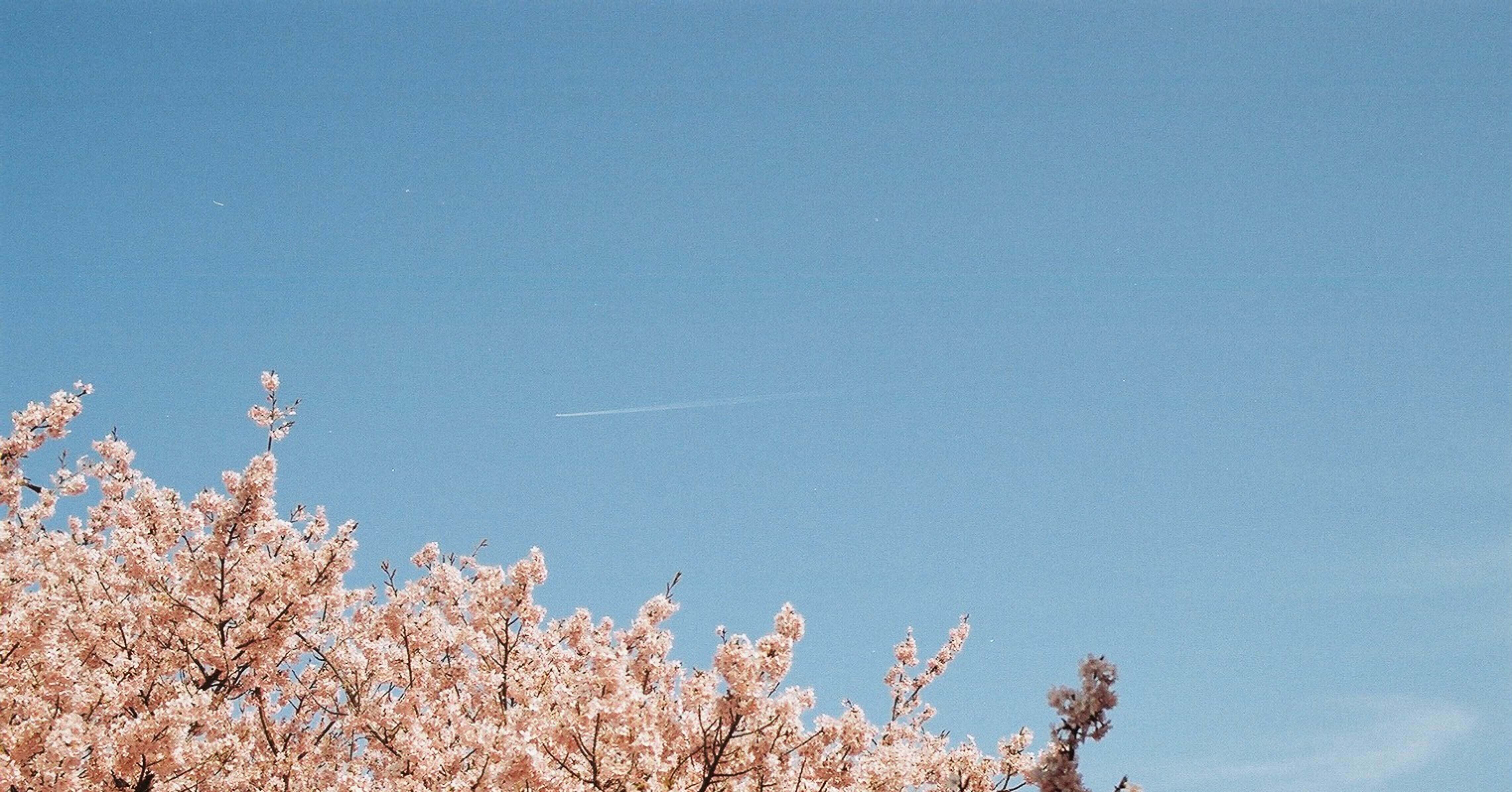 Tatsuya Akiyama｜note