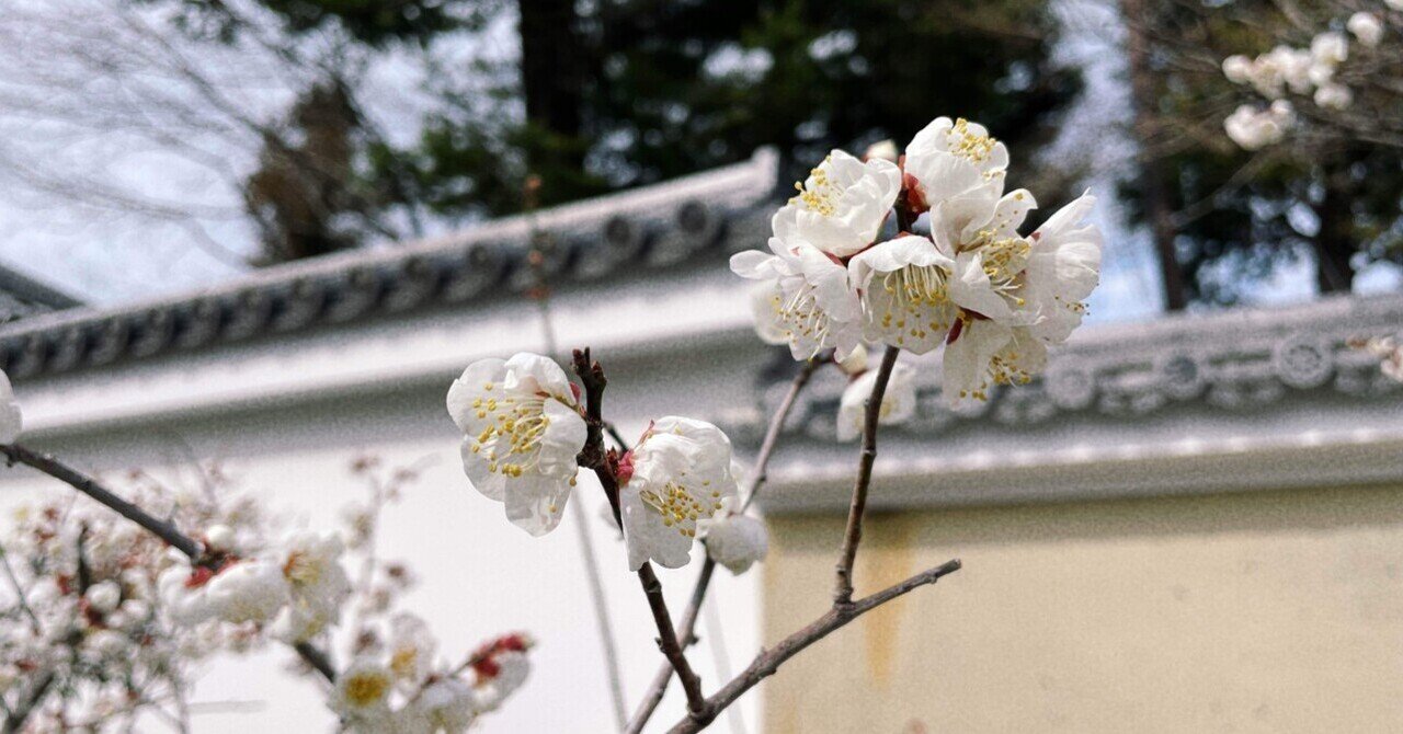 新年度から再出発。｜Saki｜note