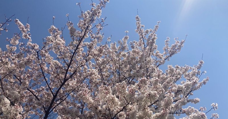 新卒生が意識してほしい2つのこと｜相談base-azu@ライフ/キャリアコンサルタント｜note